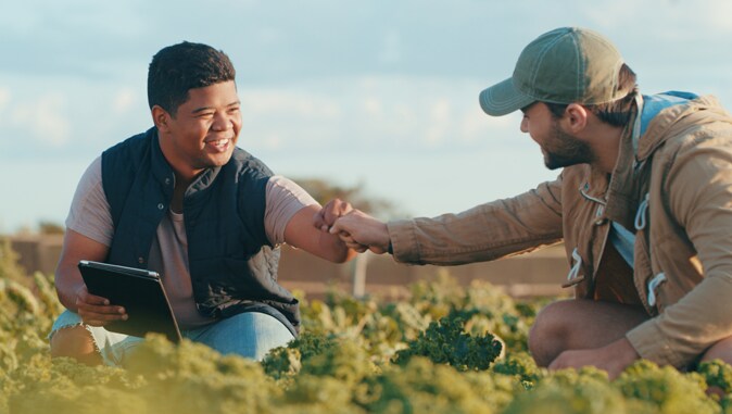 Microsoft Solutions | Business Application Solutions | NCS AU