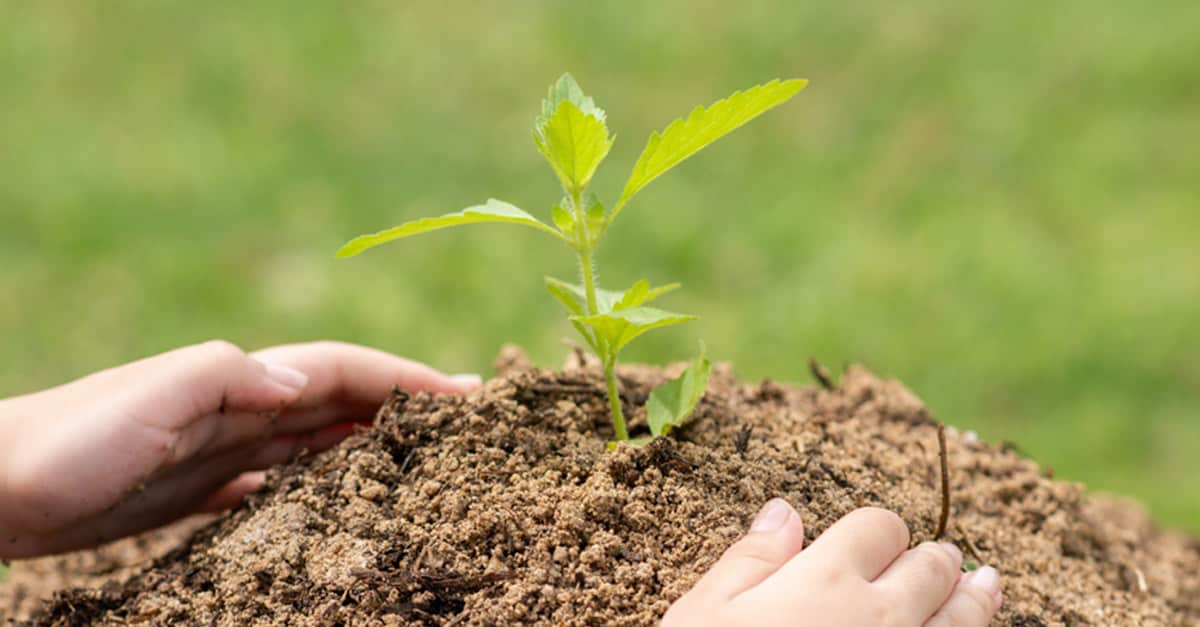 Corporate Social Responsibility in Australia | NCS Australia